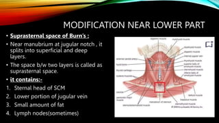Gaurav kasuhik(deep cervical fascia).pptx