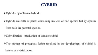 Symmetric & Asymmetric Hybrid and Cybrid | PPTX