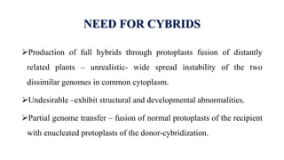 Symmetric & Asymmetric Hybrid and Cybrid | PPTX