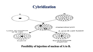 Symmetric & Asymmetric Hybrid and Cybrid | PPTX