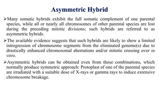 Symmetric & Asymmetric Hybrid and Cybrid | PPTX