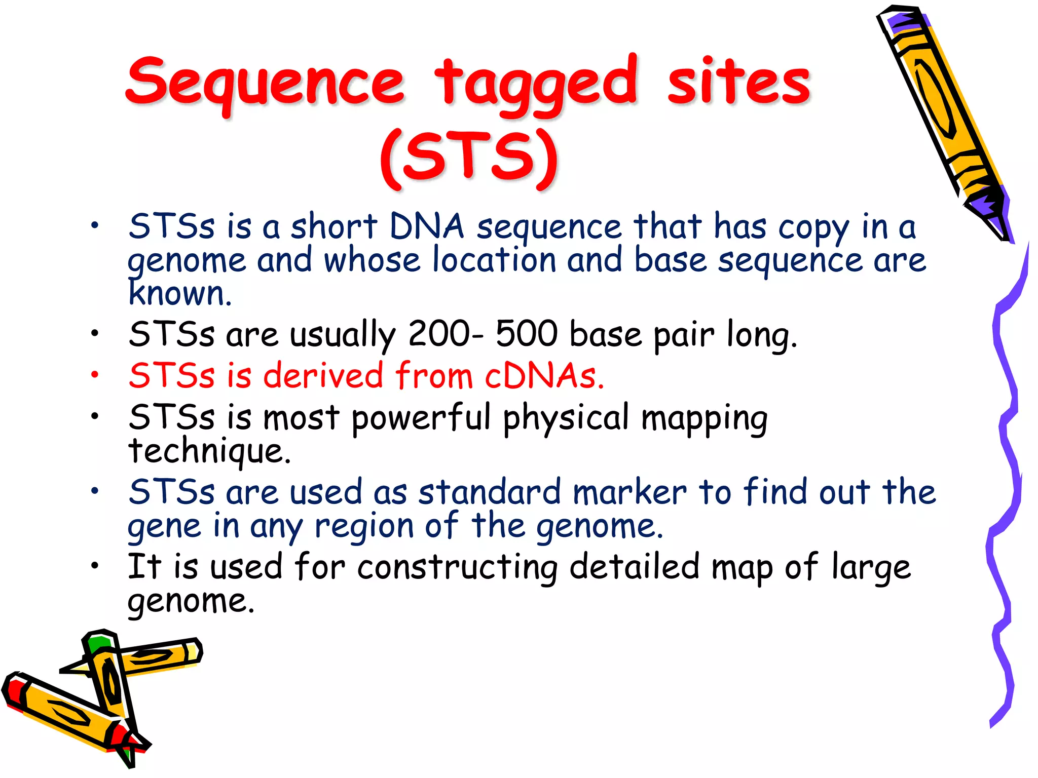 molecular marker and their types by gaurav | PPT