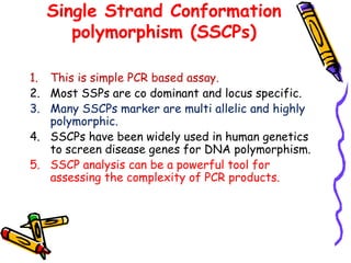 molecular marker and their types by gaurav | PPT