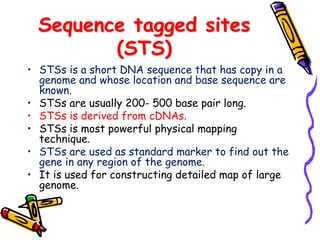 molecular marker and their types by gaurav | PPT
