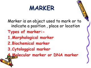 molecular marker and their types by gaurav | PPT