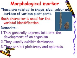molecular marker and their types by gaurav | PPT