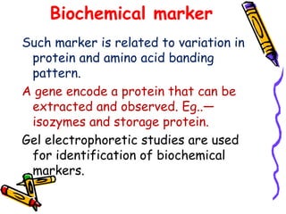 molecular marker and their types by gaurav | PPT