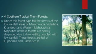 Vegetation in India | PPTX
