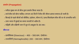 PAPAYA CULTIVATION | PPTX