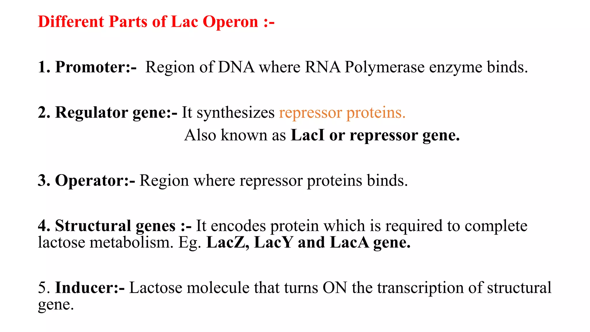 Gene Regulation in Prokaryotes.pptx