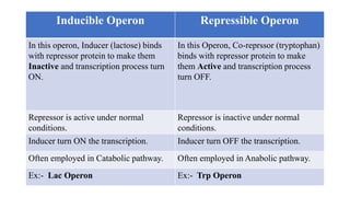 Gene Regulation in Prokaryotes.pptx