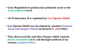 Gene Regulation in Prokaryotes.pptx