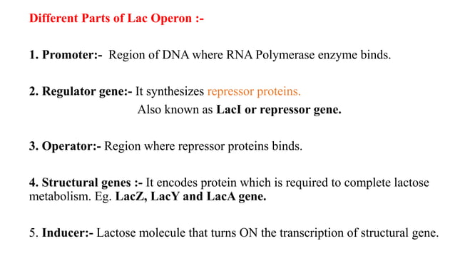 Gene regulation in Prokaryotes ( Lac Operon Model).pptx