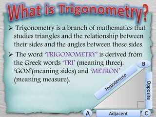 TRIGONOMETRY | PPTX | Physics | Science