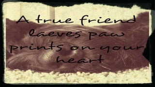 Gavin drake and dashauna king | PPT