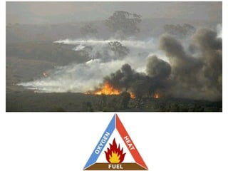 M113 FireGavin FireFighting Force v3.0 | PPT