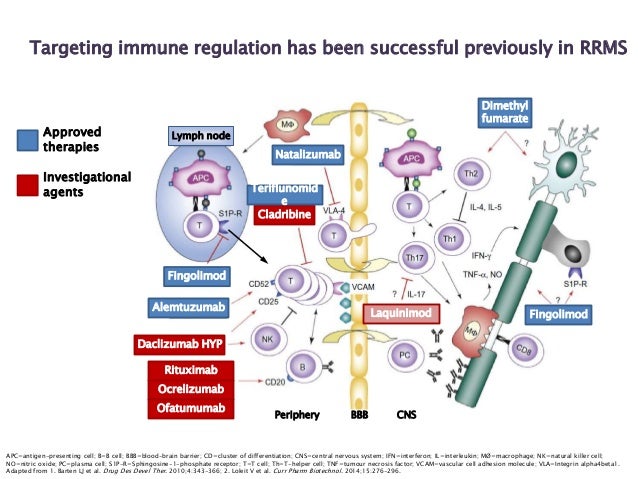 The future: Presentation by Gavin Giovannoni