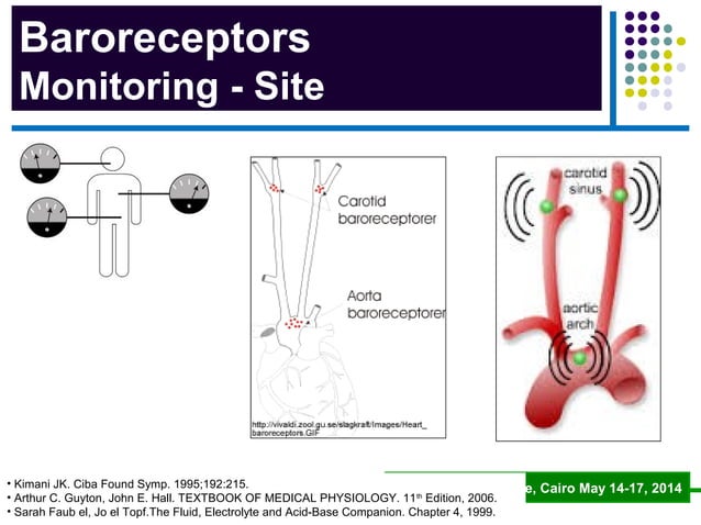Effective Circulating Volume Control - Dr. Gawad | PPT | Endocrine and ...