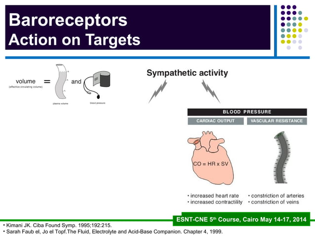 Effective Circulating Volume Control - Dr. Gawad | PPT | Endocrine and ...