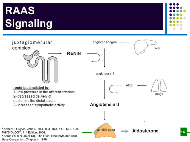 Effective Circulating Volume Control - Dr. Gawad | PPT | Endocrine and ...