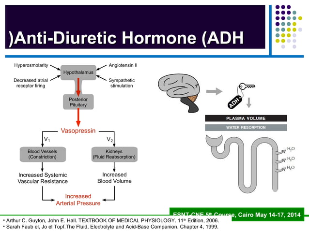 Effective Circulating Volume Control - Dr. Gawad | PPT | Endocrine and ...