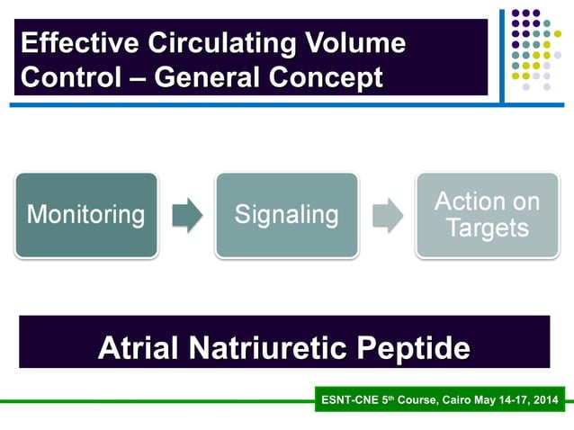 Effective Circulating Volume Control - Dr. Gawad | PPT | Endocrine and ...