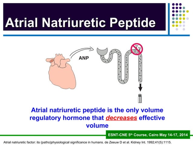 Effective Circulating Volume Control - Dr. Gawad | PPT | Endocrine and ...