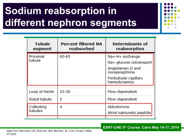 Effective Circulating Volume Control - Dr. Gawad | PPT | Endocrine and ...