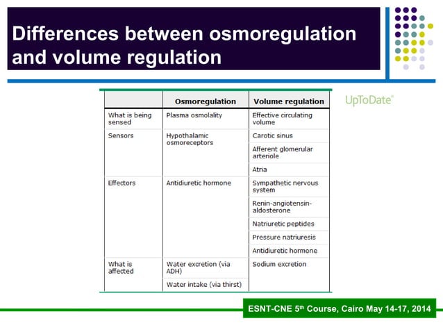 Effective Circulating Volume Control - Dr. Gawad | PPT | Endocrine and ...