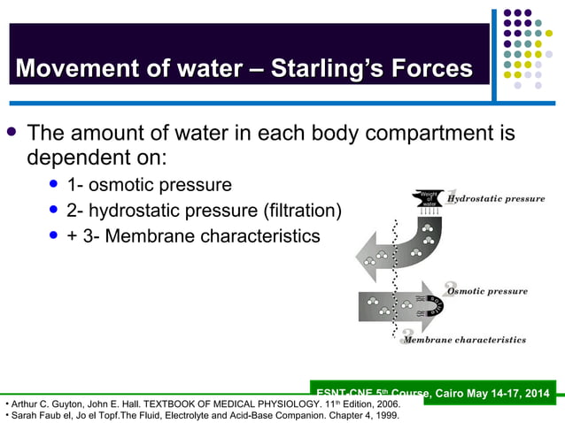 Effective Circulating Volume Control - Dr. Gawad | PPT | Endocrine and ...