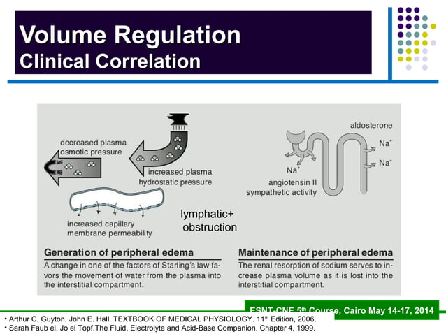 Effective Circulating Volume Control - Dr. Gawad | PPT | Endocrine and ...