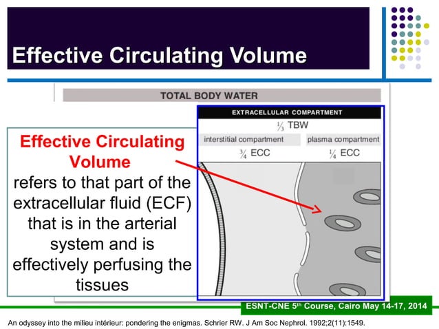Effective Circulating Volume Control - Dr. Gawad | PPT | Endocrine and Metabolic Diseases ...