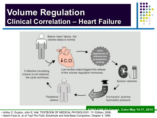 Effective Circulating Volume Control