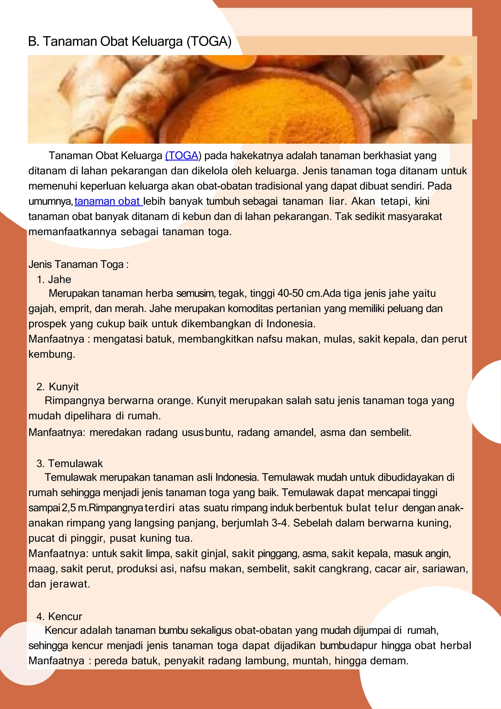 gaya-hidup-berkelanjutan-sayur-dan-toga_compress.pdf