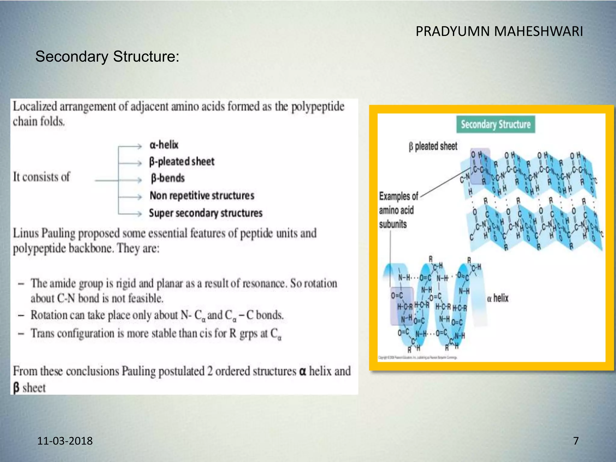 Structure and Functions of Proteins | PPT