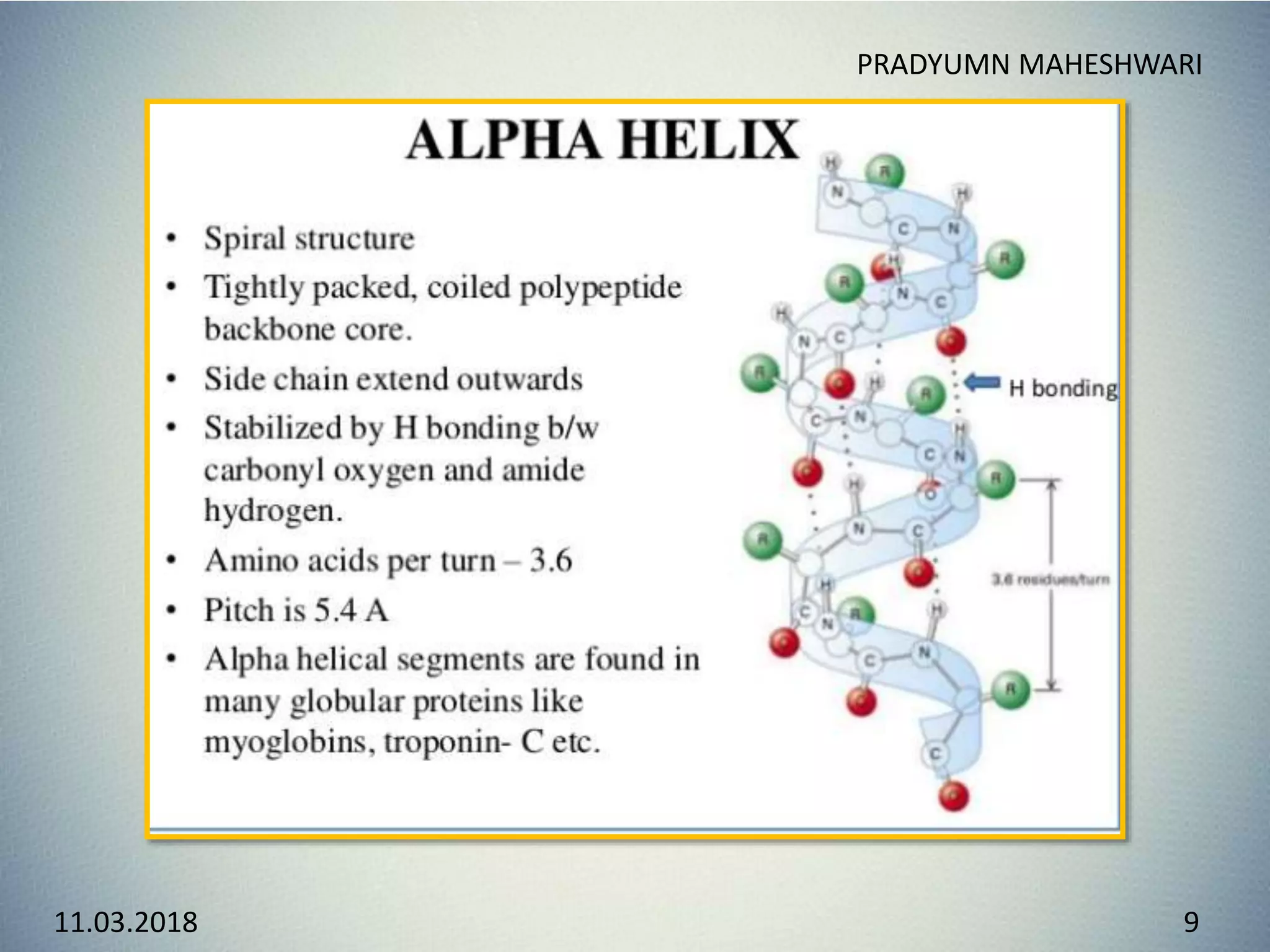 Structure and Functions of Proteins | PPT
