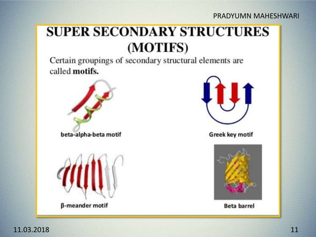 Structure and Functions of Proteins | PPT