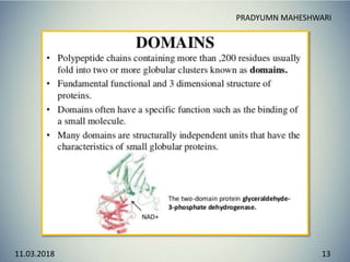 Structure and Functions of Proteins | PPT