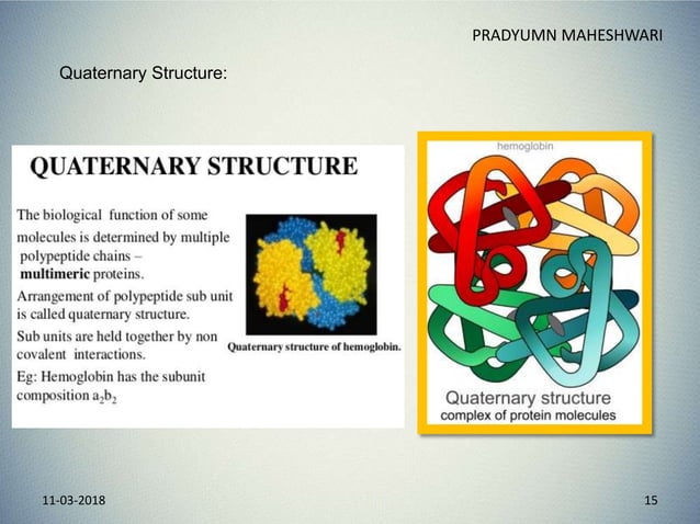 Structure and Functions of Proteins | PPT