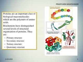 Structure and Functions of Proteins | PPT
