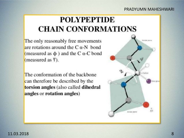 Structure and Functions of Proteins | PPT