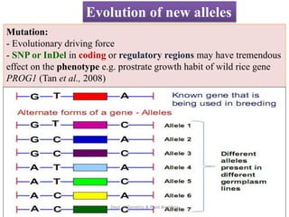 Allele mining in crop improvement | PPTX
