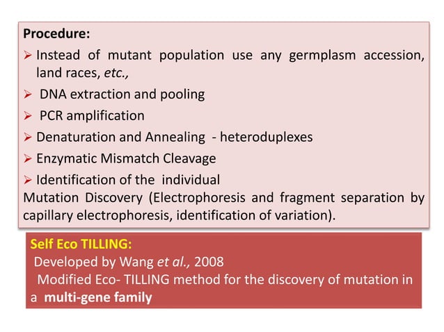 Allele mining in crop improvement | PPTX | Genetics | Science