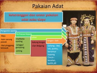 Gayo | PPTX