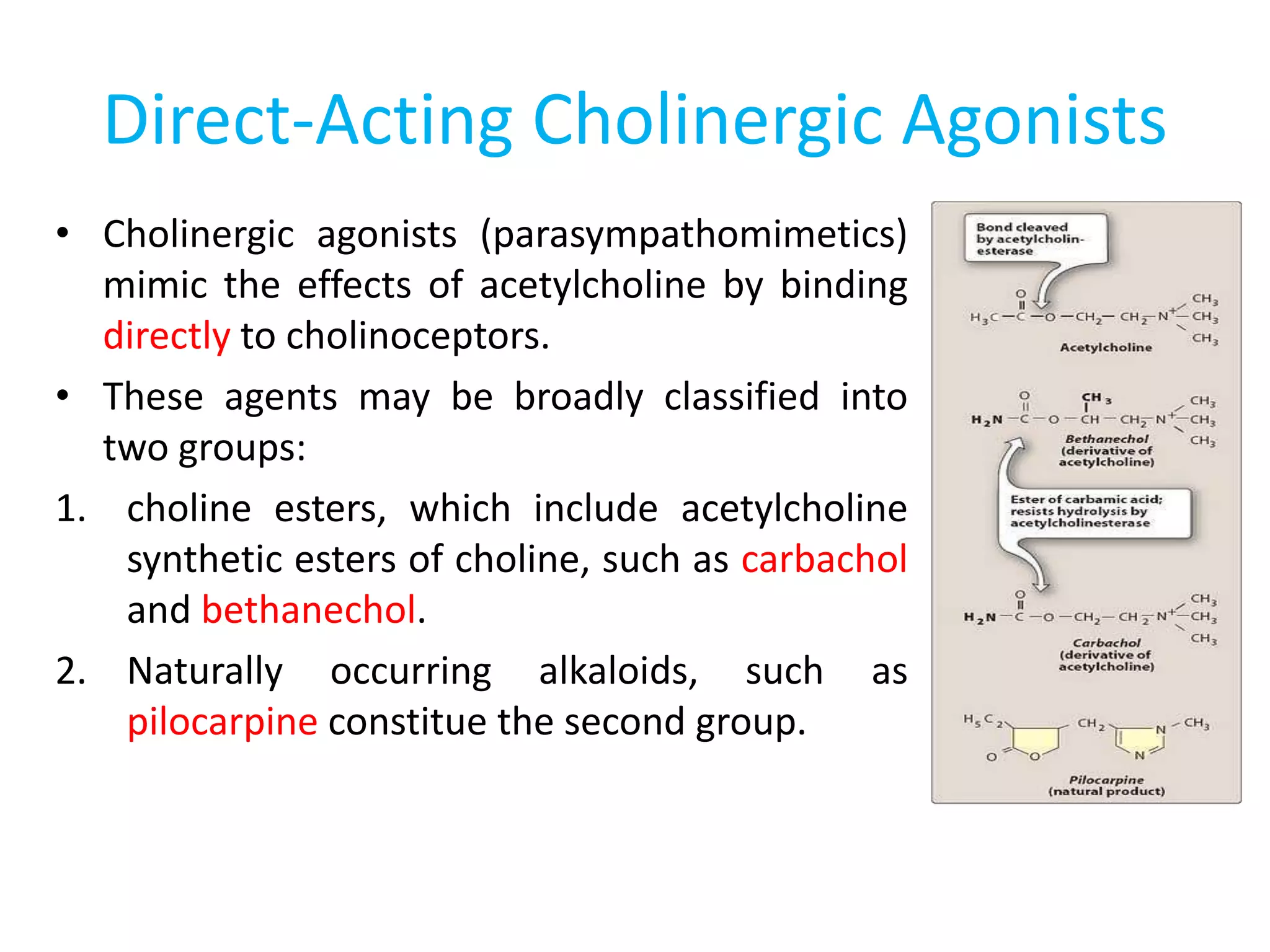 parasympathomimetics drugs | PPTX