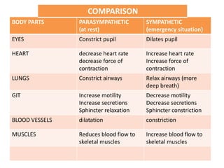 parasympathomimetics drugs | PPTX