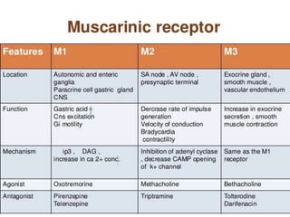 parasympathomimetics drugs | PPTX