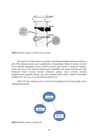 Energy and Exergy Analysis | PDF