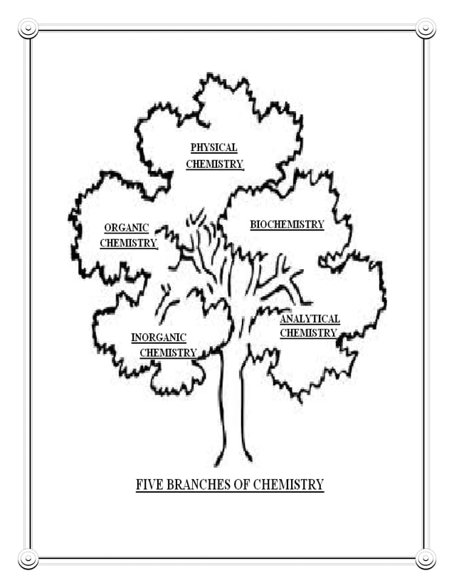 Branches of CHemistry | DOCX