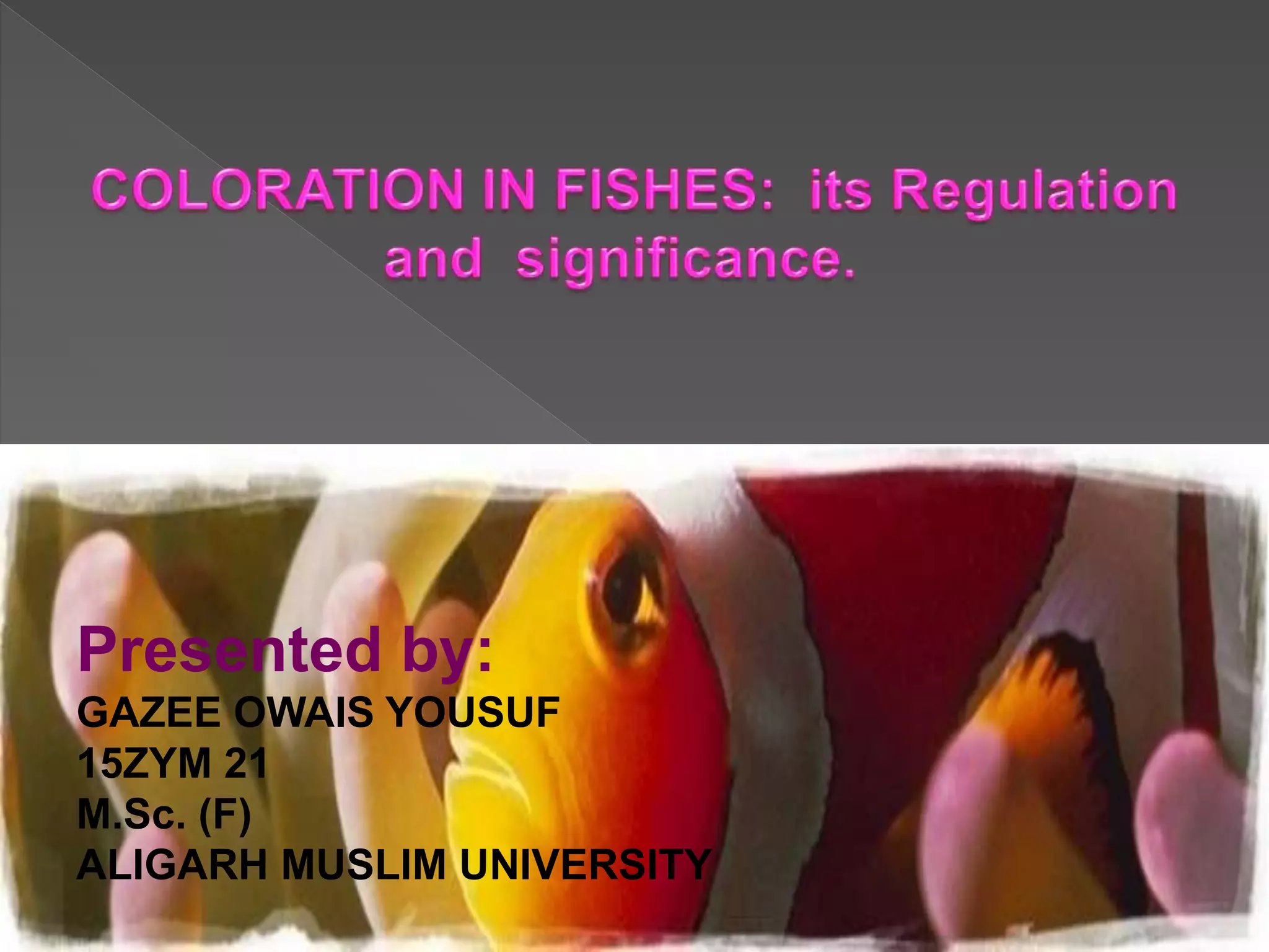 COLORATION IN FISHES: its Regulation and significance by GAZEE OWAIS | PPTX